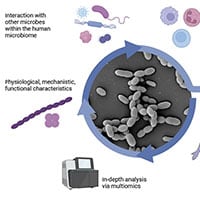 Archaea in the Human Microbiome and Potential Effects on Human ...