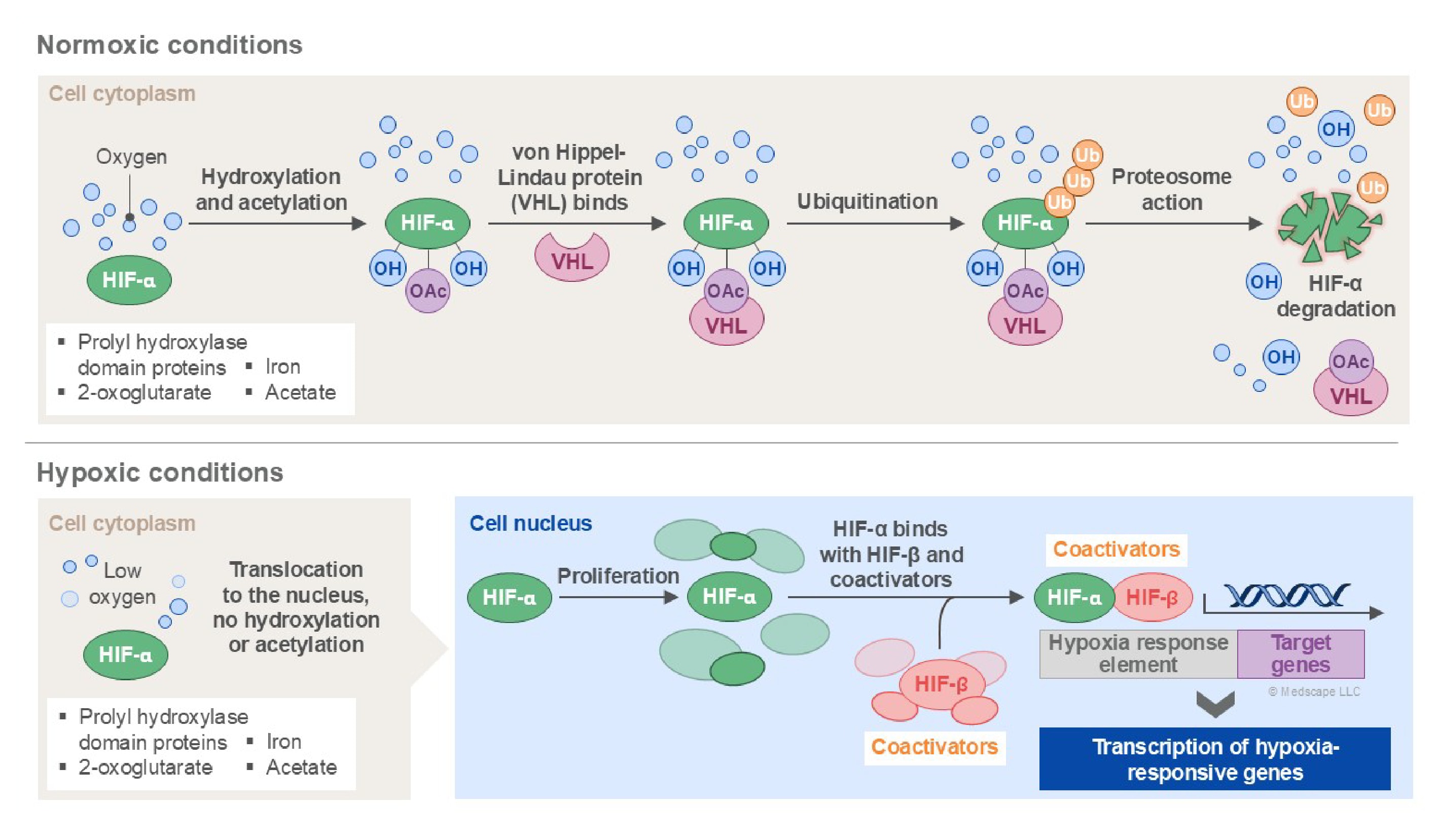 Utilizing the Latest Advances in Dialysis-Dependent Chronic Kidney ...