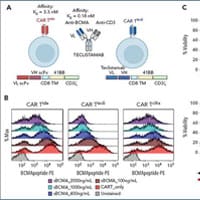 Impact of Soluble BCMA and Non–T-Cell Factors on Refractoriness to BCMA ...