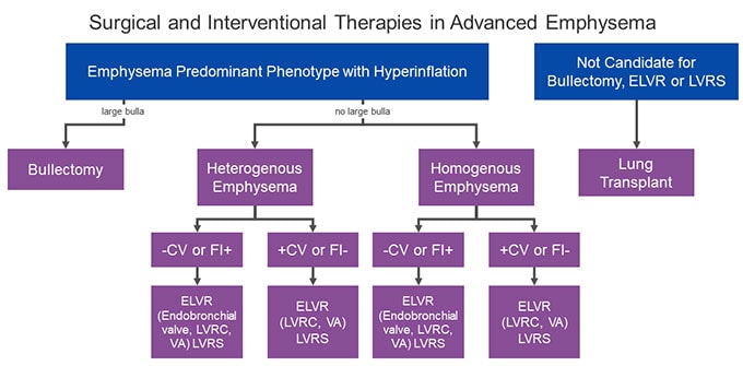 Test Your Skills: Can You Effectively Manage These Patients With ...