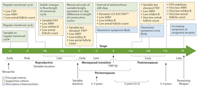 Turning Points: Preventative Health Strategies From Perimenopause to ...
