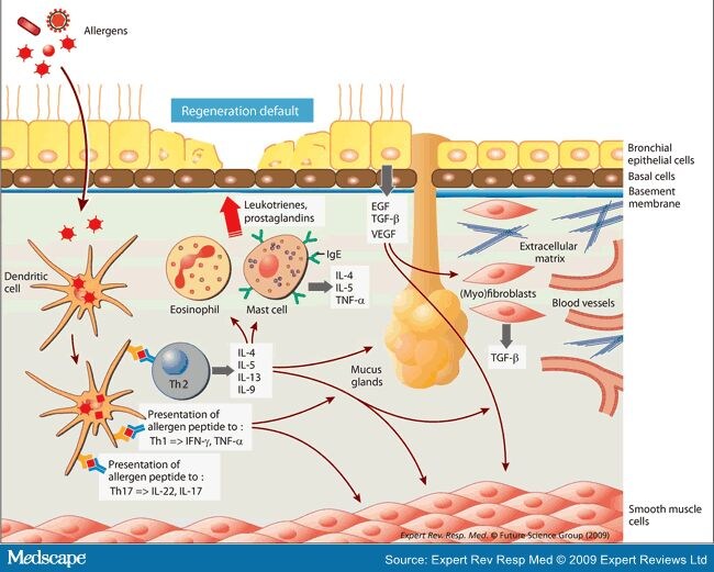 Allergen-Specific Immunotherapy of Allergy and Asthma