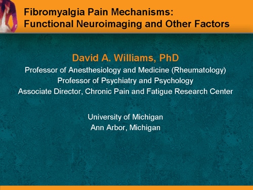 Fibromyalgia Pain Mechanisms: Functional Neuroimaging and Other Factors ...