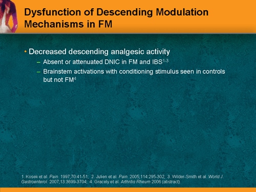 Fibromyalgia Pain Mechanisms: Functional Neuroimaging and Other Factors ...