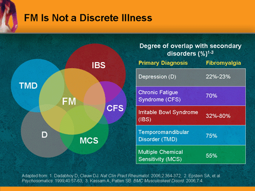 Fibromyalgia Pain Mechanisms: Functional Neuroimaging and Other Factors ...