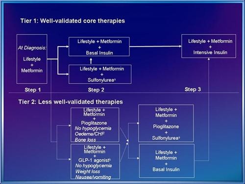 Incorporating Incretin-Based Therapies Into Type 2 Diabetes Treatment ...
