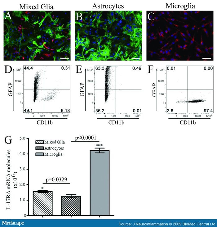 Functional Interleukin-17 Receptor A Is Expressed in CNS Glia - Page 3