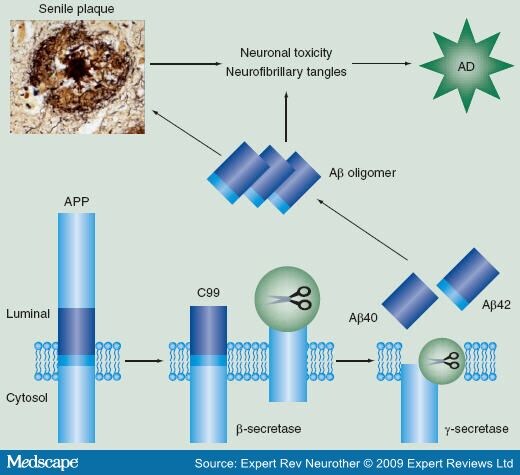 Secretase Inhibitors and Modulators for Alzheimer's Disease Treatment ...