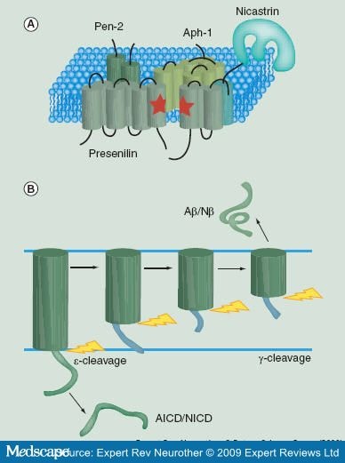 Secretase Inhibitors and Modulators for Alzheimer's Disease Treatment ...