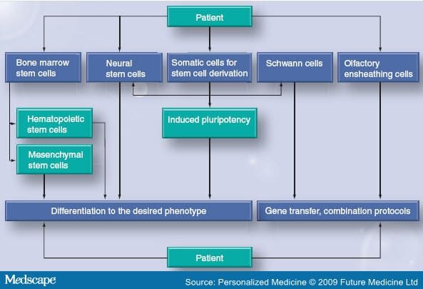 Towards Personalized Cell-Replacement Therapies for Brain Repair - Page 2