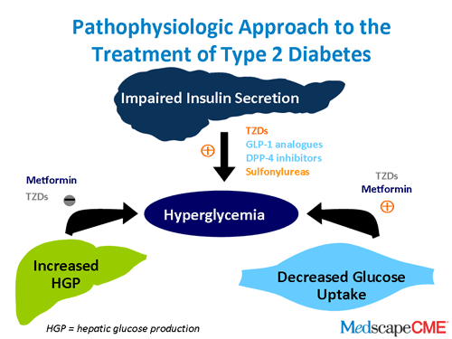 Novel Approaches to Treatment of Type 2 Diabetes Mellitus -- Incretin ...
