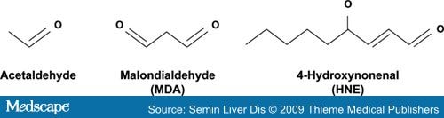 Role of Alcohol in Liver Carcinogenesis - Page 2