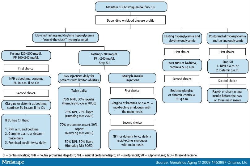 Initiation of Insulin Therapy in Older Adults - Page 4