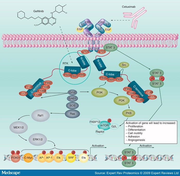 Proteomic Approaches in Lung Cancer Biomarker Development - Page 5