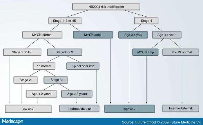 Molecular Characterization and Classification of Neuroblastoma - Page 2