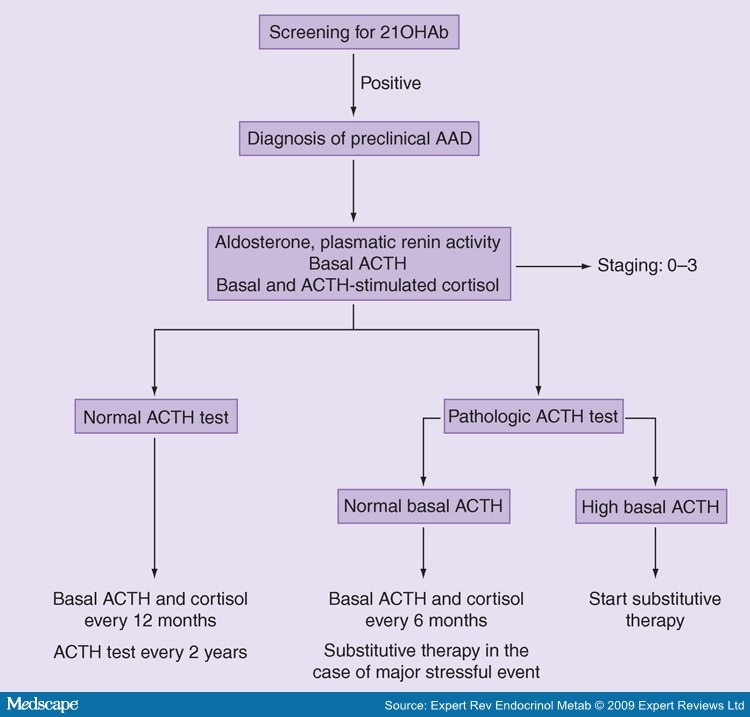 Recent Advances in Adrenal Autoimmunity - Page 3