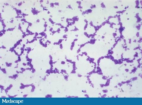 Management of MRSA in the Community Setting: Getting it Right the First ...