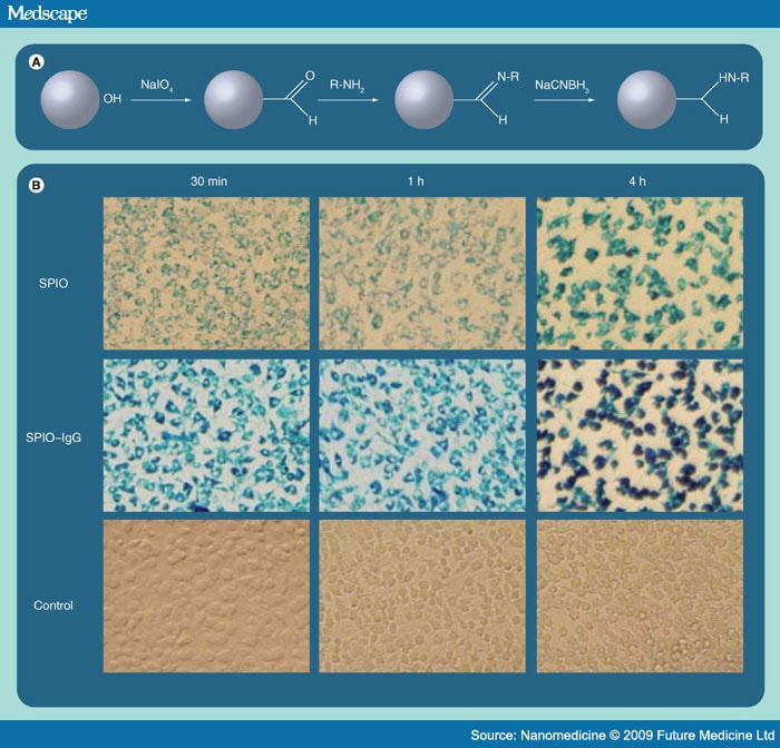 NanoART, NeuroAIDS and CNS Drug Delivery - Page 10