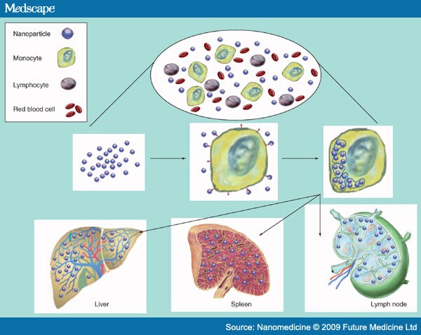 NanoART, NeuroAIDS and CNS Drug Delivery - Page 10