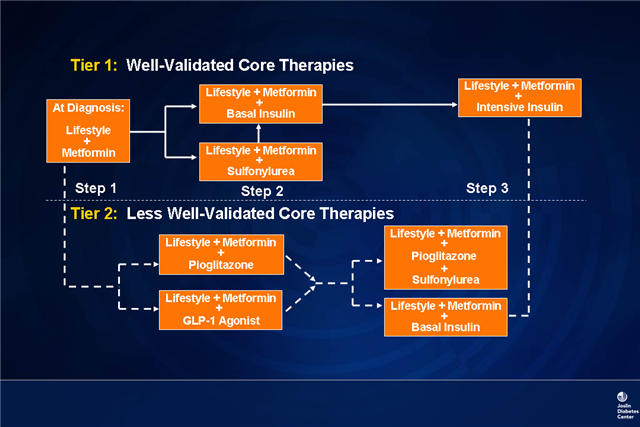 Advancing Therapies for Type 2 Diabetes: Physiologically Based Approaches