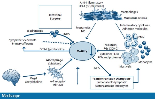 Managing Postoperative Pain and Ileus: Less of a Balancing Act
