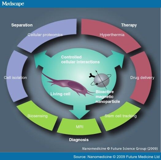 Magnetically Modulated Nanosystems: A Unique Drug-Delivery Platform ...