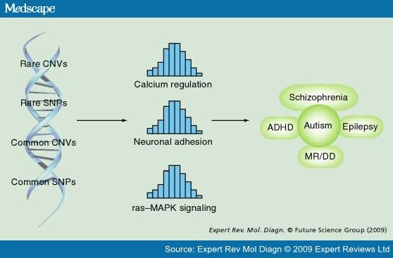 Autism Genetics: Emerging Data from Genome-Wide Copy-Number and Single ...