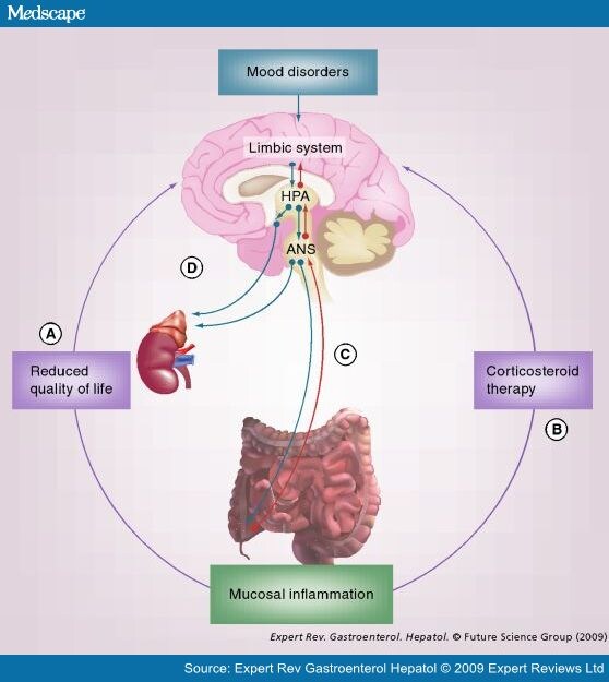 Management of Stress in Inflammatory Bowel Disease: A Therapeutic ...