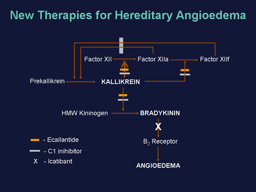 Hereditary Angioedema Hereditary Angioedema | World Allergy