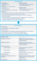 Strategies for Opioid Rotation: Decision Support in Chronic Pain Management