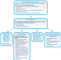 Strategies for Opioid Rotation: Decision Support in Chronic Pain Management