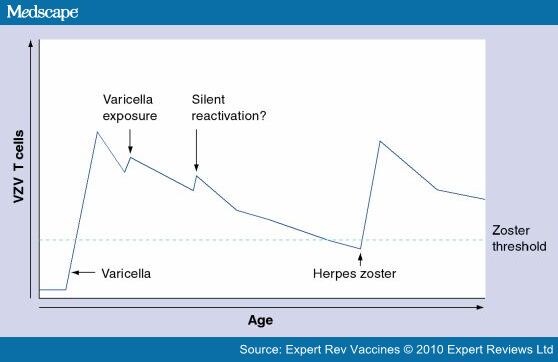 Herpes Zoster and Postherpetic Neuralgia - Page 2