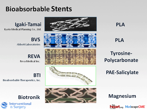 Abbott Bioabsorbable Stent