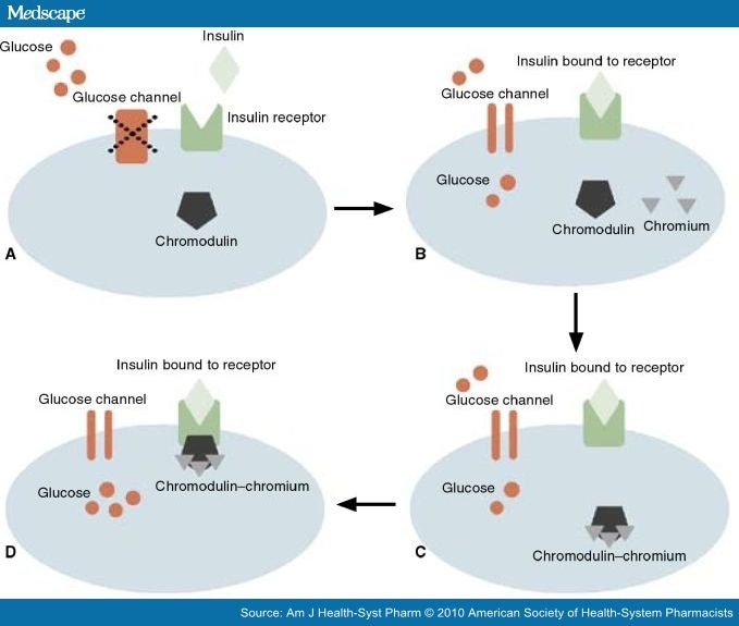 Improved Glucose Control Associated With IV Chromium