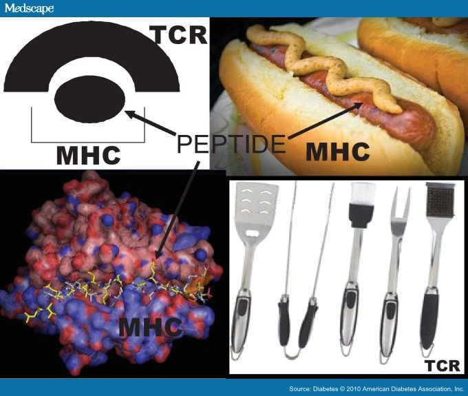 An Unfinished Journey: Molecular Pathogenesis to Prevention of Type 1A ...
