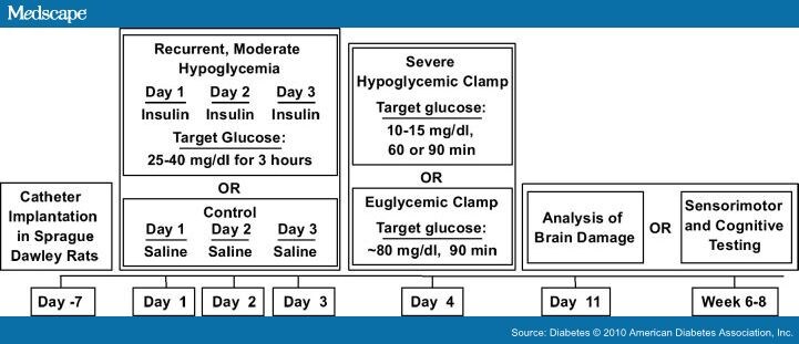 Moderate Hypoglycemia Ameliorates Brain Damage Induced by Severe ...