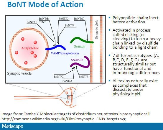 Aesthetic Treatment With Neurotoxins: Options and Individualized Treatment