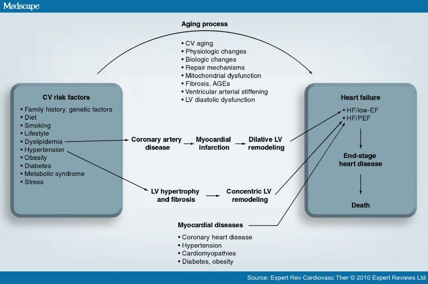 Heart Failure in the Elderly: Advances and Challenges