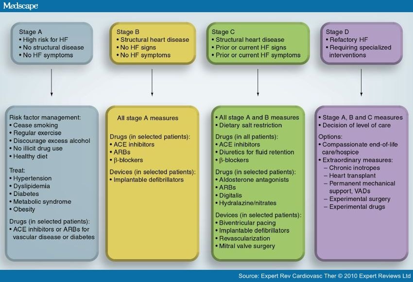 Heart Failure in the Elderly: Advances and Challenges - Page 6