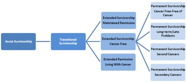 Symptom Management and the Seasons of Cancer Survivorship