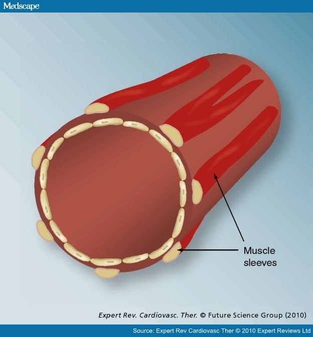 Interventional Management of Atrial Fibrillation - Page 2