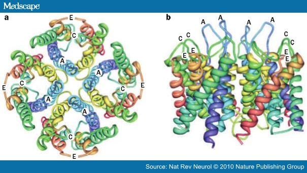 Relevance of AQP4 Antibodies in Neuromyelitis Optica - Page 2