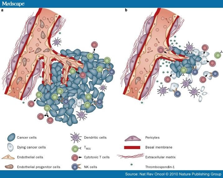 Metronomic Chemotherapy: New Rationale for New Directions - Page 7