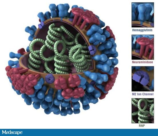 Improving Vaccine Effectiveness: Luxury or Necessity?