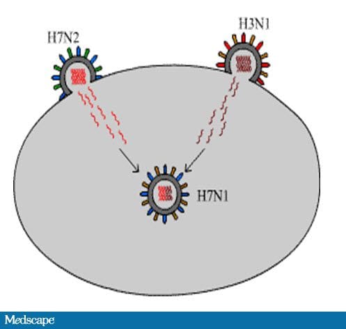 Improving Vaccine Effectiveness: Luxury or Necessity?