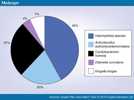 Gram-negative Bacterial Endocarditis in Adults: State-of-the-Heart - Page 2