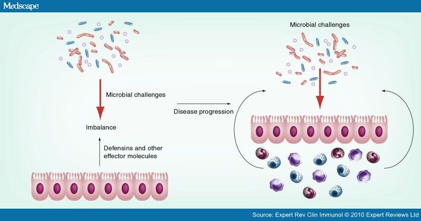 Innate Antimicrobial Immunity in Inflammatory Bowel Diseases - Page 3
