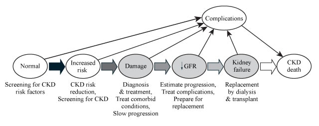 CKD Medscape CME Expert Column Series: Issue 1 -- The CKD Staging System