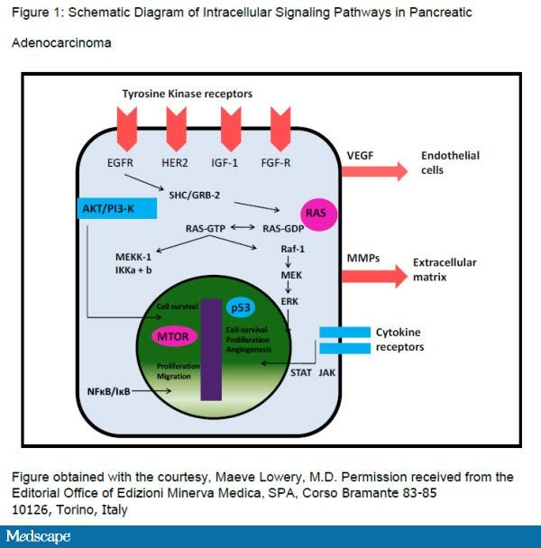 Recent Findings in Pancreatic Cancer: Illuminating Emerging Treatment ...