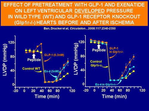 A Review of the Mechanistic and Pleiotropic Effects of GLP-1 Therapies ...